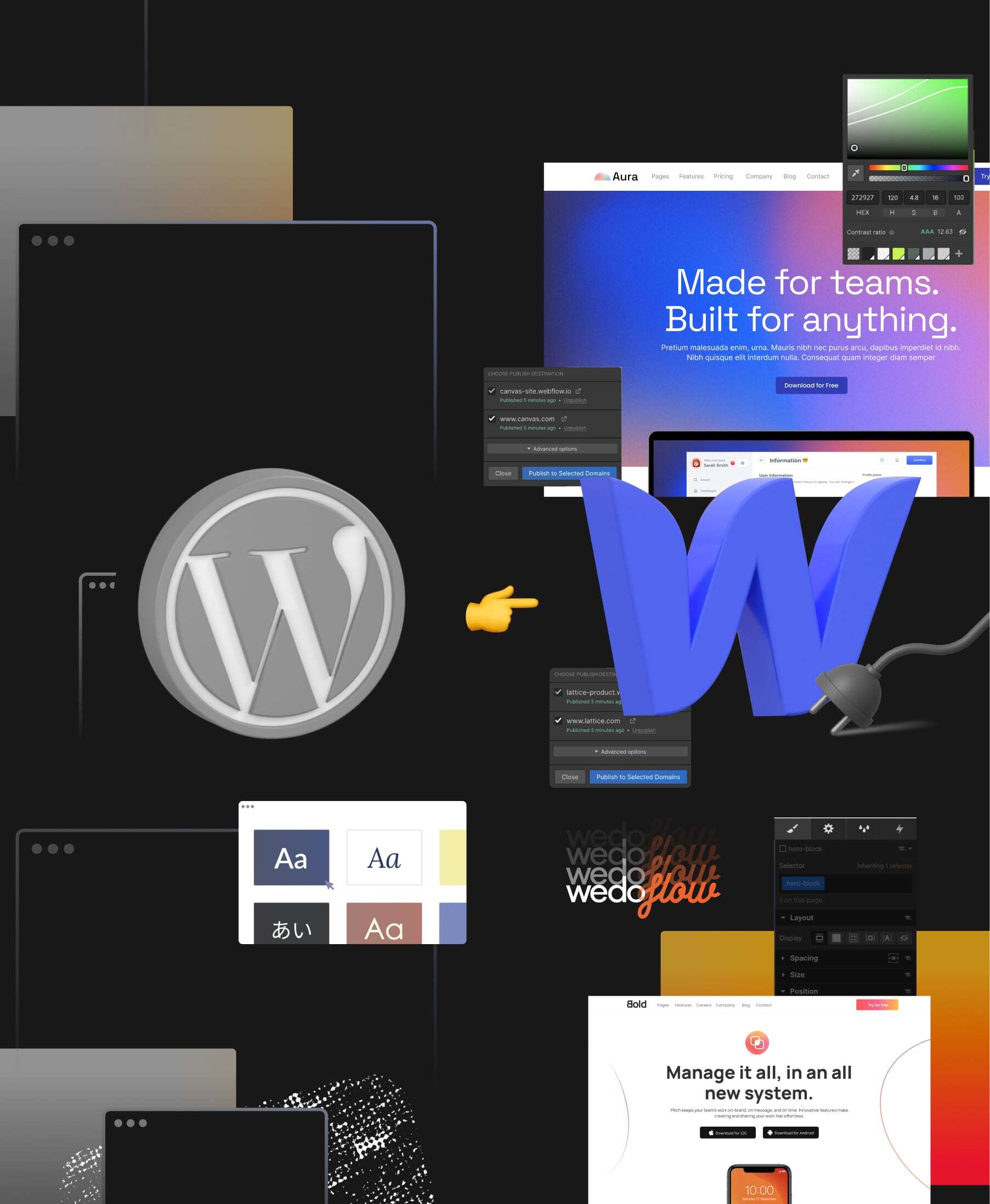 How to migrate WordPress to Webflow – Steps to follow!